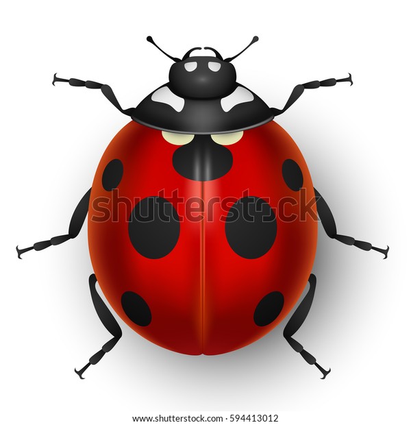 Red Cute Ladybug Isolated On White Stock Vector (Royalty Free) 594413012