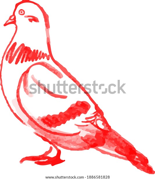 Red Dove Isolated On White Stock Vector (Royalty Free) 1886581828 ...