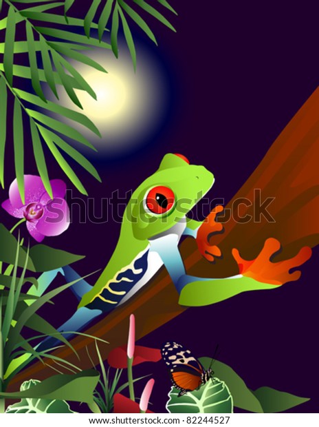Red Eyed Tree Frog Jungle Stock Vector (Royalty Free) 82244527 ...
