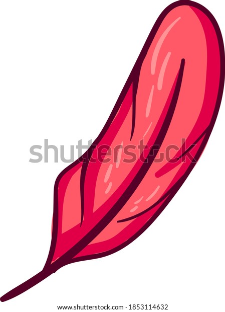 Red Feather Illustration Vector On White Stock Vector (Royalty Free ...