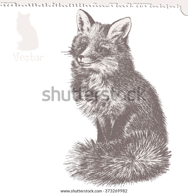 Red Fox Sketch Hand Drawing Vector: Vector có sẵn (miễn phí bản quyền ...