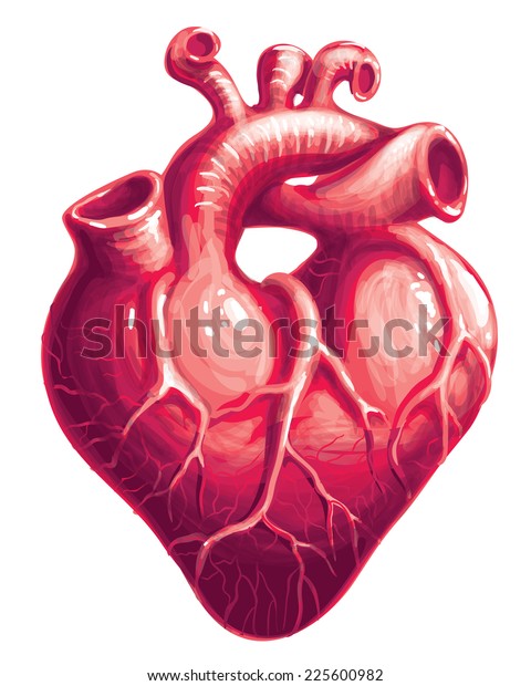 Red Heart Shape Veins Eps8 Cmyk Stock Vector (Royalty Free) 225600982 ...
