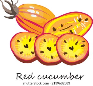 Hmong red cucumber : 62 images, photos et images vectorielles de stock ...
