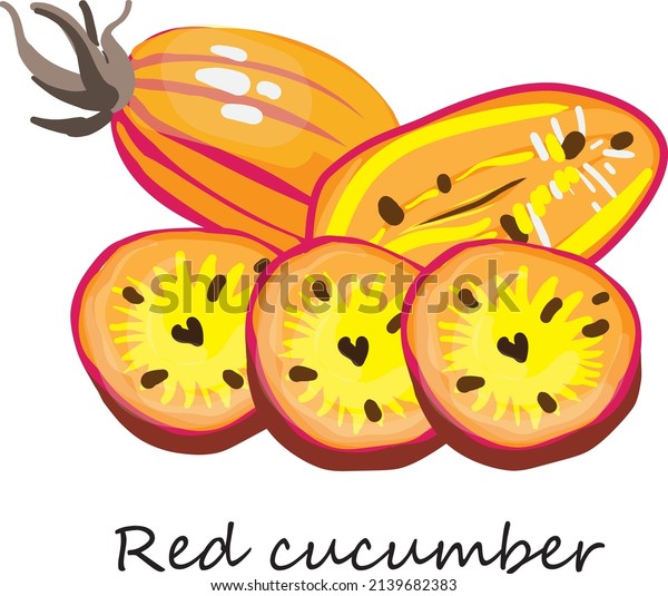 Hmong red cucumber : 62 images, photos et images vectorielles de stock ...