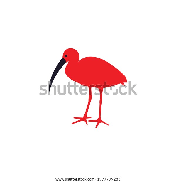 Red Ibis Bird Cartoon Vector On Stock Vector (Royalty Free) 1977799283 ...
