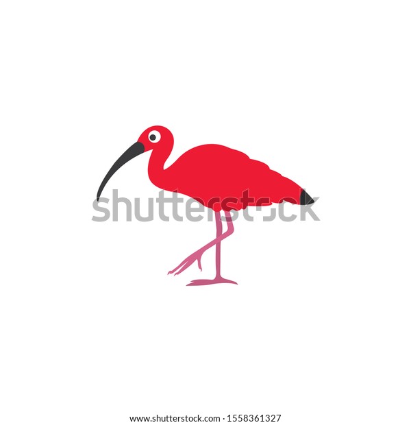 Red Ibis Cartoon Vector On White Stock Vector (Royalty Free) 1558361327 ...