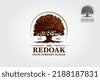 Oak Tree Logo Photos, Images & Pictures | Shutterstock
