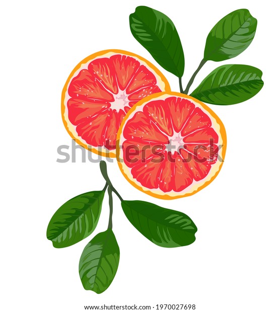 Red Orange Vector Stock Illustration Large Stock Vector (Royalty Free ...