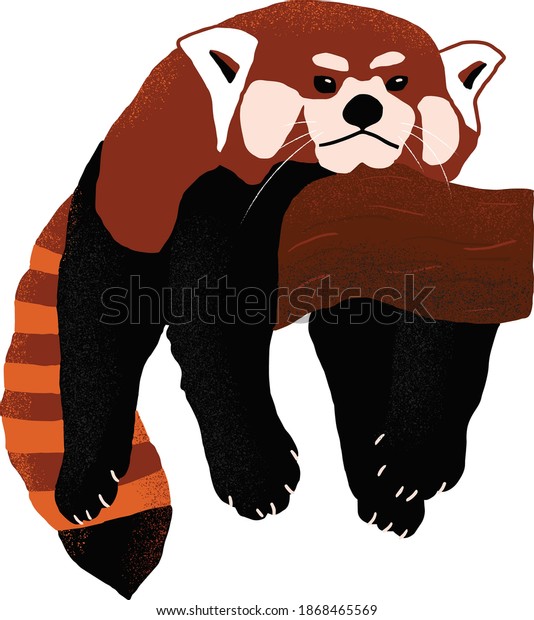 Red Panda Chilling On Login Cozy Stock Vector (Royalty Free) 1868465569 ...