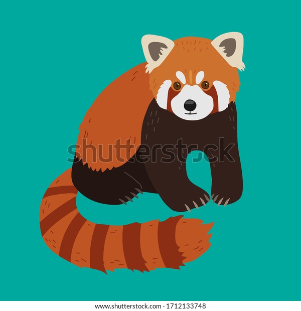 Red Panda Realistic Style Sits On Stock Vector (Royalty Free ...