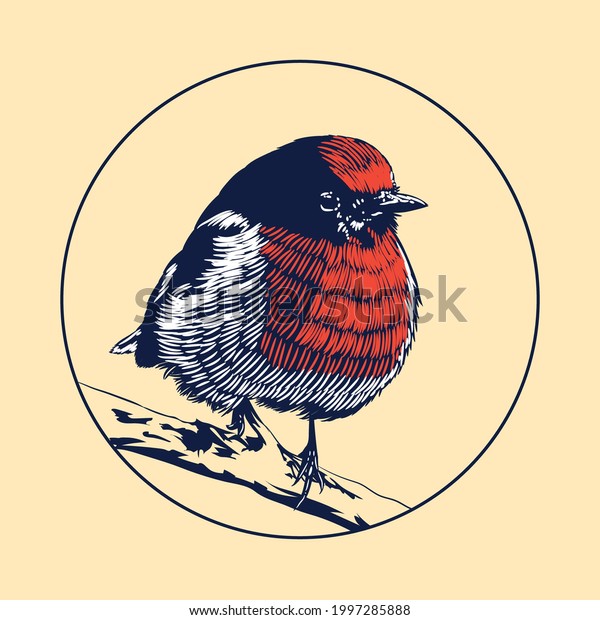 Red Robin Bird Engraving Line Art Stock Vector (Royalty Free ...