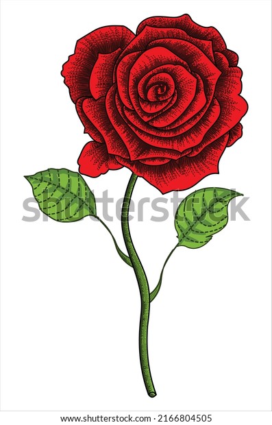 1,148 Red Rose Etching Images, Stock Photos & Vectors | Shutterstock