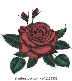 Red Rose Vector Art Stock Vector (Royalty Free) 641183332 | Shutterstock