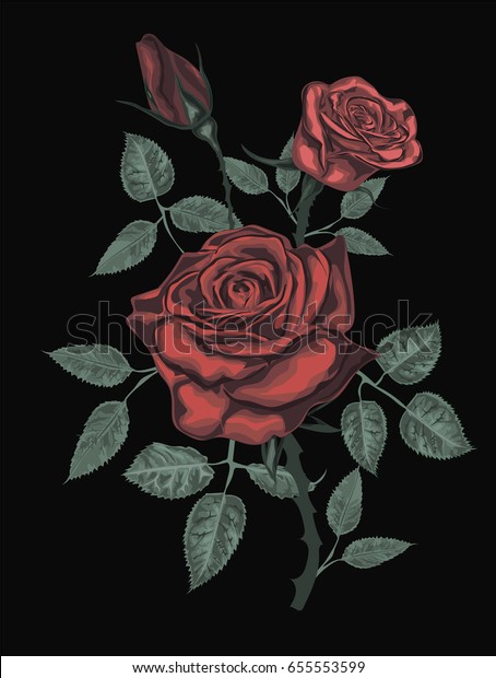 Red Roses Vector Art Beautiful Rose Stock Vector (Royalty Free ...