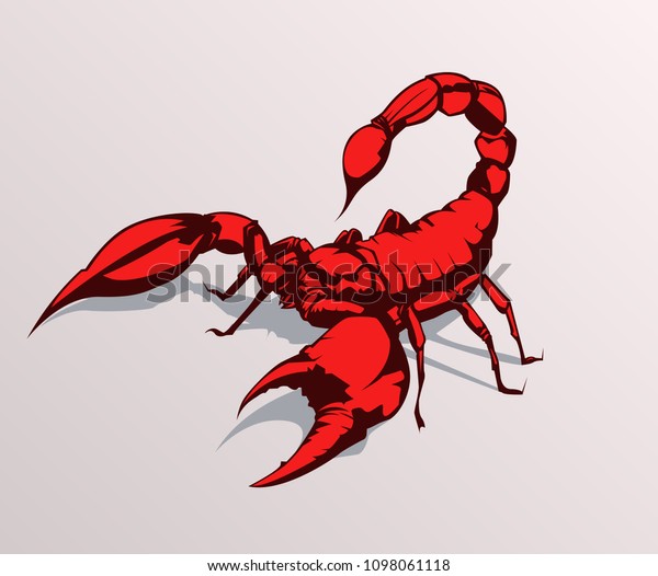 Red Scorpion Vector Illustration On Grey Stock Vector (Royalty Free ...