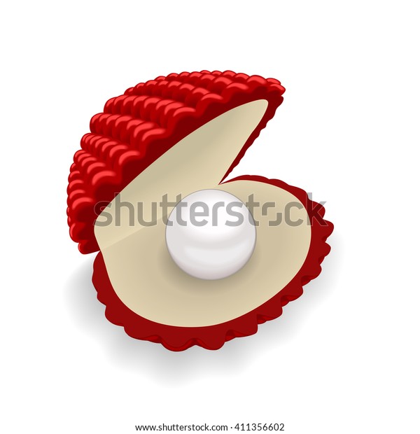 Red Shell Pearl On White Background Stock Vector (Royalty Free ...