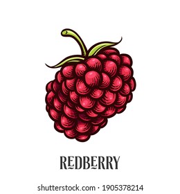 Redberry Images, Stock Photos & Vectors | Shutterstock