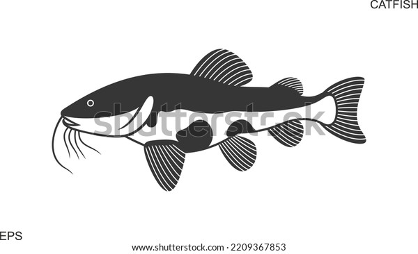 Redtail Catfish Logo Isolated Redtail Catfish Stock Vector (Royalty ...