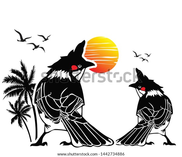 Redwhiskered Bulbul Birda Drawing Vector Stock Vector (Royalty Free ...