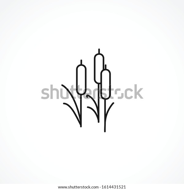 Reed Icon On White Background Stock Vector (Royalty Free) 1614431521 ...
