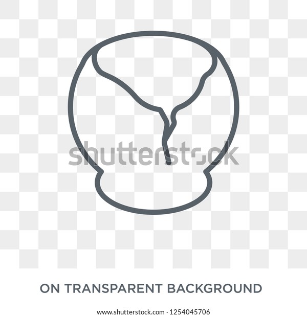 Relics Icon Relics Design Concept Collection Stock Vector (Royalty Free ...