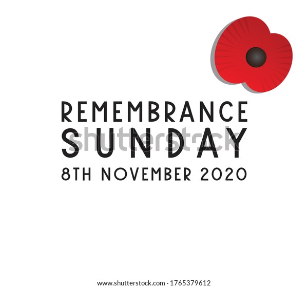 Remembrance Sunday Poppies Vector White Background Stock Vector ...