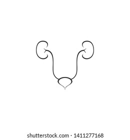 Renal System Vector Icon Illustration Design Stock Vector (Royalty Free ...