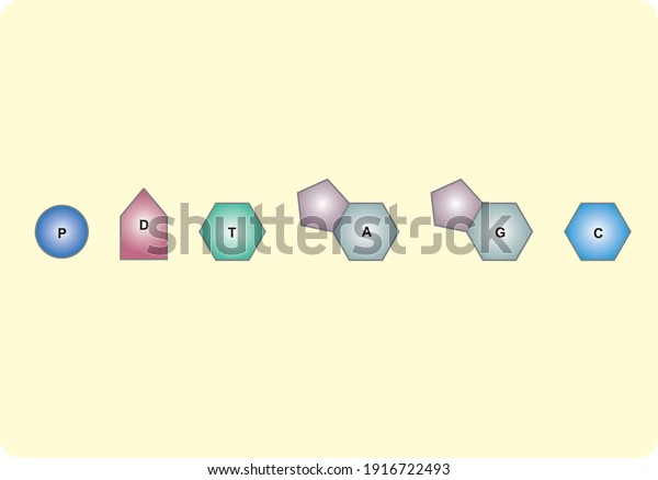 Vektor Stok Representation Structures Found Nucleotides Symbols Science ...