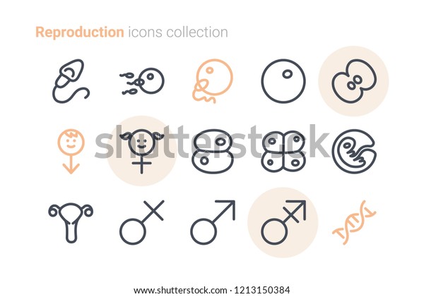 Reproduction Icons Collection Stock Vector (Royalty Free) 1213150384 ...
