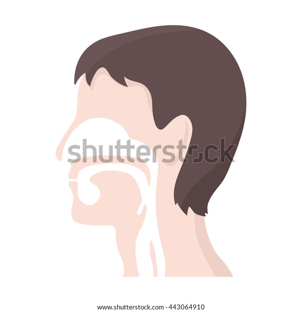 Respiratory System Icon Cartoon Stock Vector (Royalty Free) 443064910