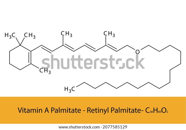 Retinyl Palmitate Skeletal Structure Molecular Formula Stock Vector ...