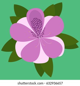 Rhododendron Flower Vector Illustration Stock Vector (Royalty Free ...