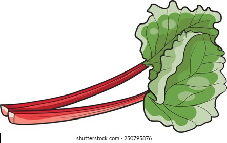 355 Rhubarb drawing Images, Stock Photos & Vectors | Shutterstock
