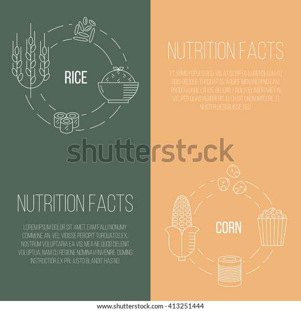 Rice and corn nutrition facts background. Vector illustration with text ...