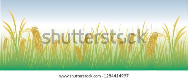 Rice Field Background Green Cartoon Vector Stock Vector (Royalty Free ...