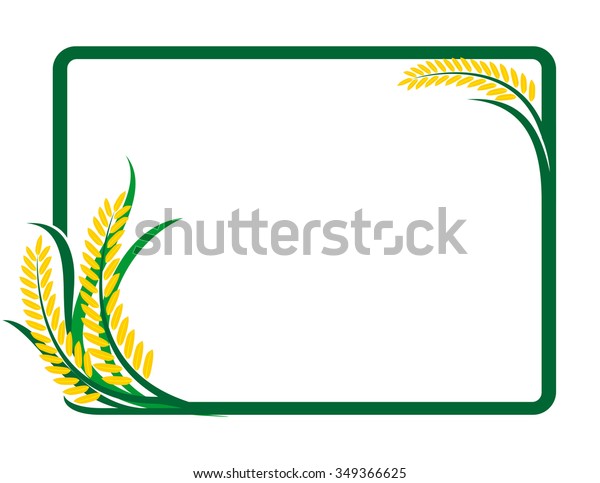 Rice Frame Grain Organic Frame Design 库存矢量图（免版税）349366625 | Shutterstock