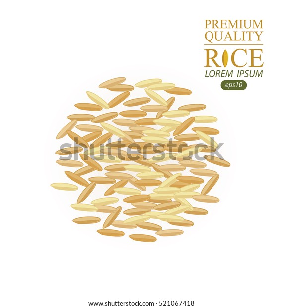 Rice Grains Isolated On White Background Stock Vector (Royalty Free ...