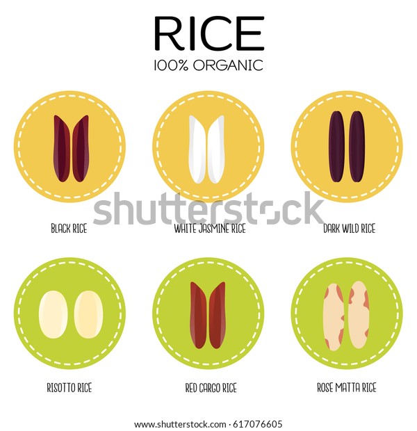 Rice Grains Vector Illustration Stock Vector (Royalty Free) 617076605 ...