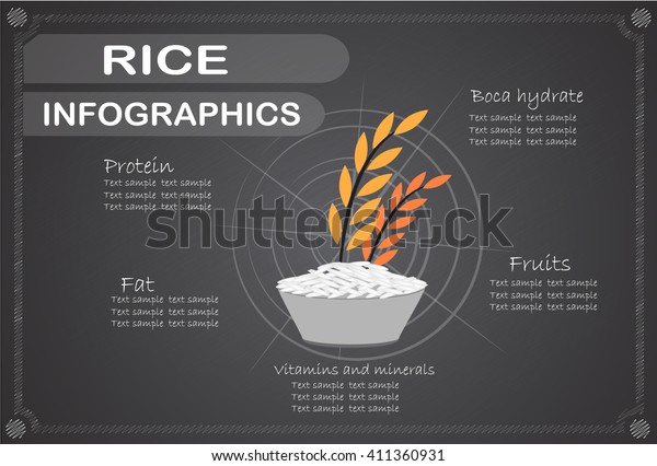 Rice Infographics Vector Illustration Stock Vector (Royalty Free ...