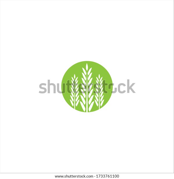 Rice Logo Icon Concept Illustration Stock Vector (Royalty Free ...