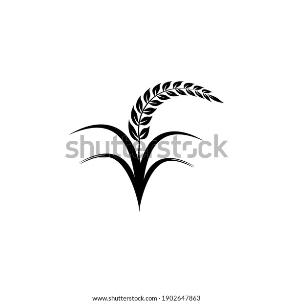 Rice Paddy Illustration Logo Icon Graphic Stock Vector (Royalty Free ...