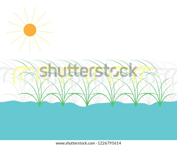 Rice Plant Design Stock Vector (Royalty Free) 1226795614 | Shutterstock