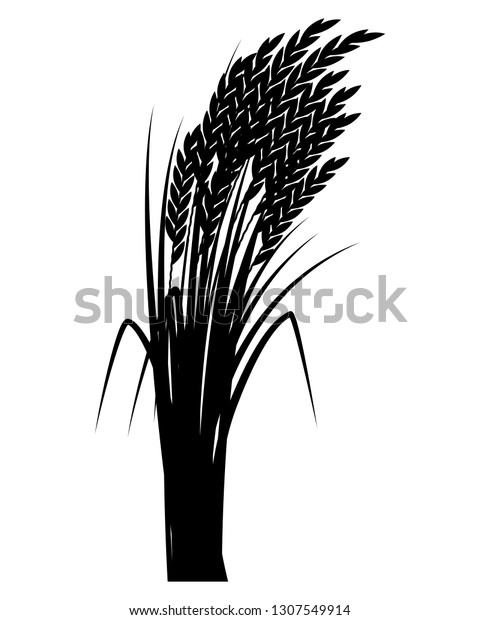 Rice Plant Silhouette Vector Stock Vector (Royalty Free) 1307549914 ...