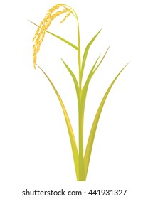 Rice Plant Vector Design Stock Vector (Royalty Free) 441931327