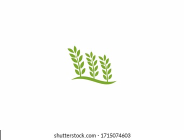 Rice Plants Symbol Vector Logo Design Stock Vector (Royalty Free ...