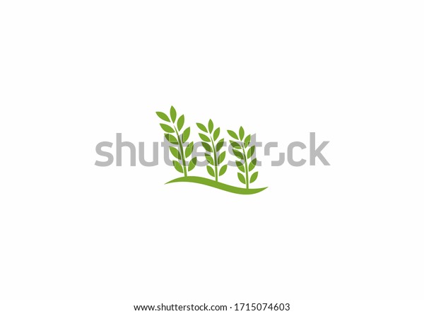Rice Plants Symbol Vector Logo Design Stock Vector (Royalty Free ...