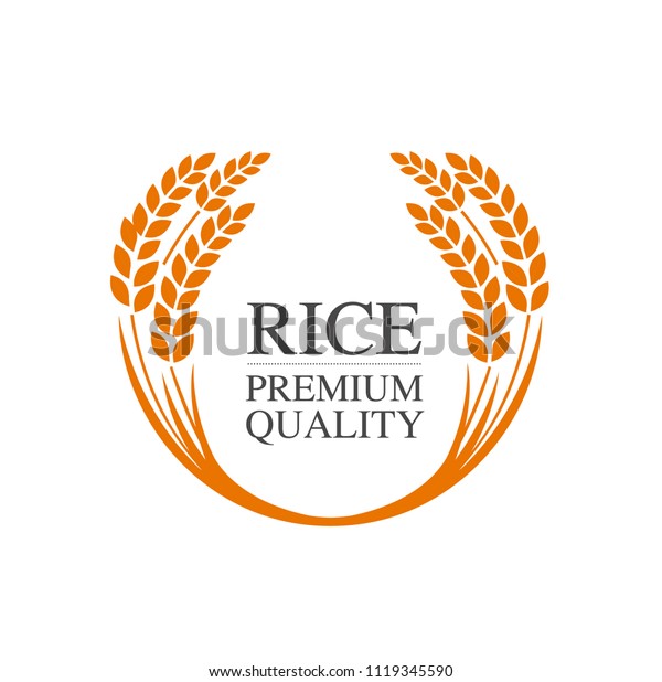 Rice Premium Quality Vector Illuatration Stock Vector (Royalty Free ...