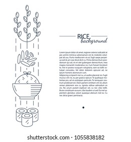 2,086 Rice infographic Images, Stock Photos & Vectors | Shutterstock