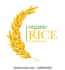 Rice Realistic Vector Illustration Stock Vector (Royalty Free ...