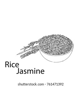 Rice Seed Drawing Jasmine Rice Stock Vector (Royalty Free) 761471392 ...